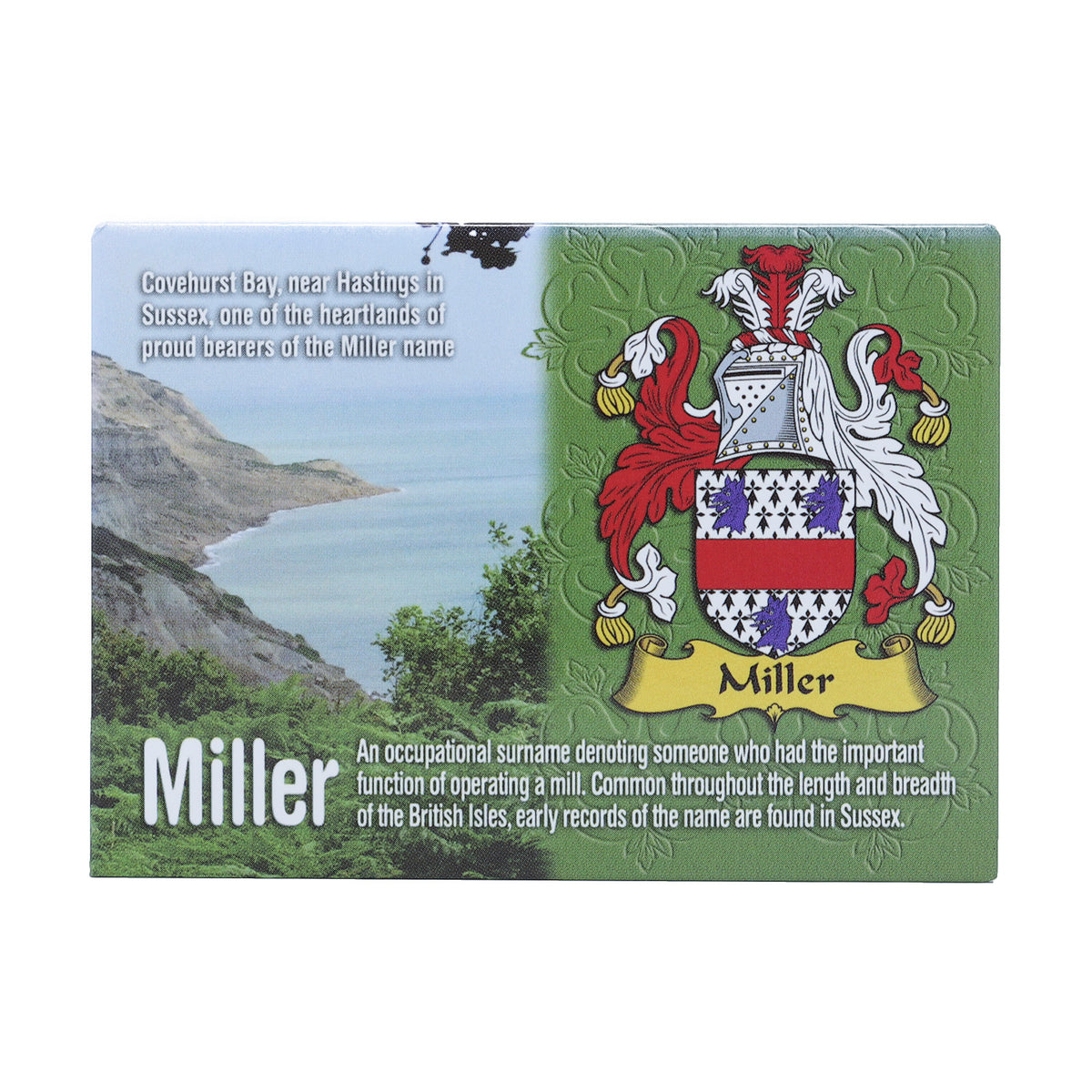 Scenic Metallic Magnet Wales Ni Eng Miller | The Scotland Shop