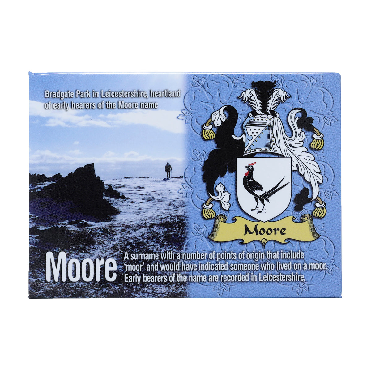 Scenic Metallic Magnet Wales Ni Eng Moore | The Scotland Shop